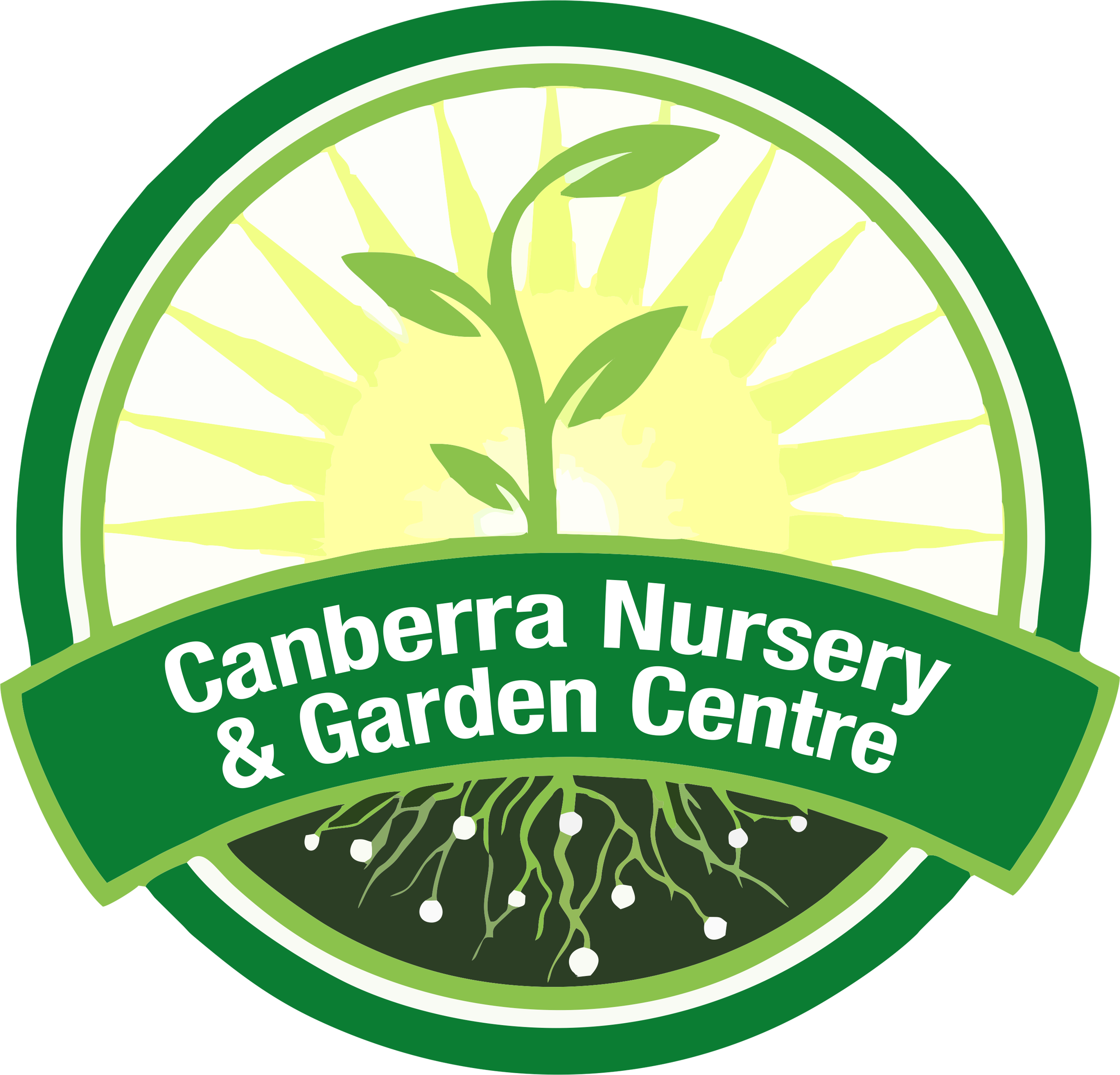 Here are 12 Australian native plants from your website that are ...